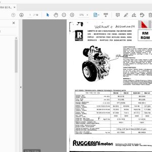 Ruggerini Diesel RY85.0 RY85.1 RY100 RY101 RY120 RY121 Parts Manual ...